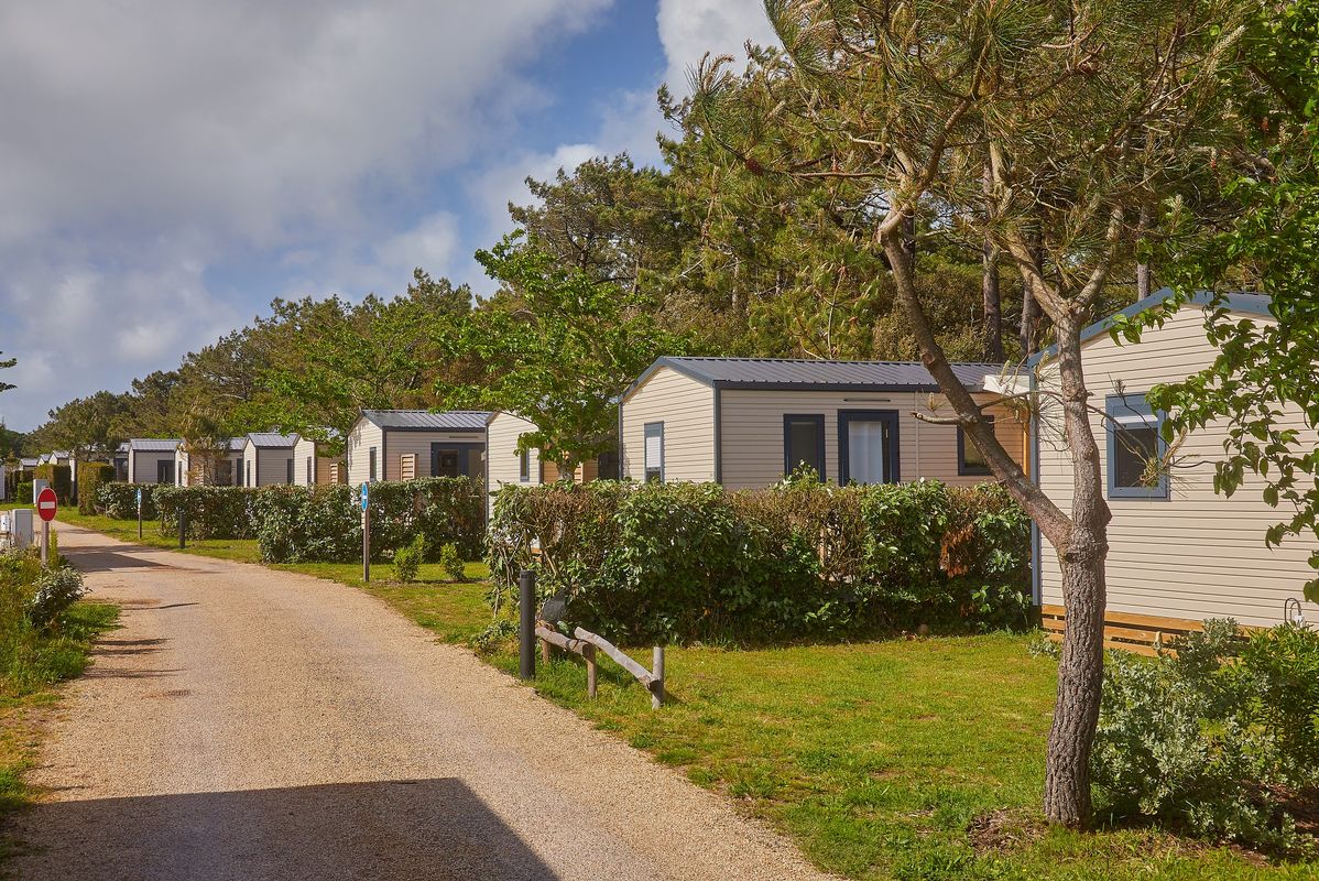 Les Chardons Bleus de la Turballe - Camping 4 étoiles à La Turballe (Pays de la Loire ...